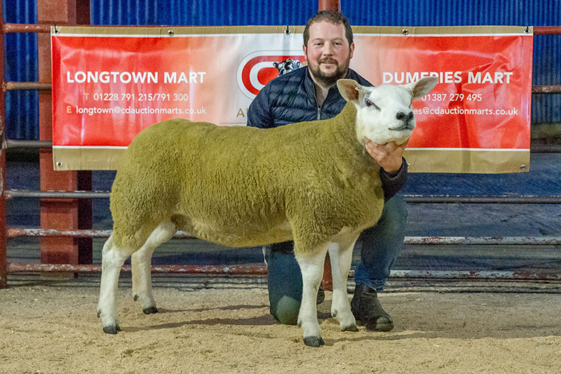 Longtown Ladies Sale Report - Monday 10th January 2022