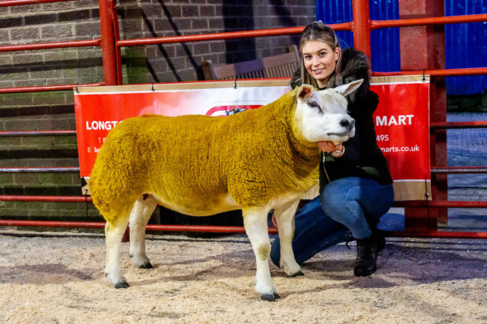 Longtown Ladies Sale of Pedigree Breeding Females Report - 8th January 2024